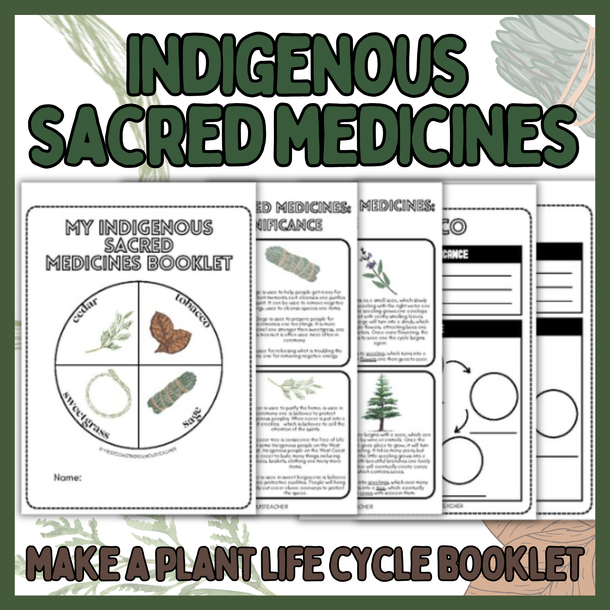 Indigenous Sacred Medicines - Plant Life Cycle Activity & Indigenous ...