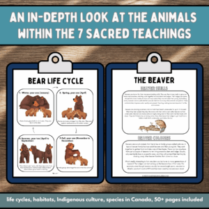 7 Sacred Teachings Animal BUNDLE - Indigenous Culture, Animal Life ...