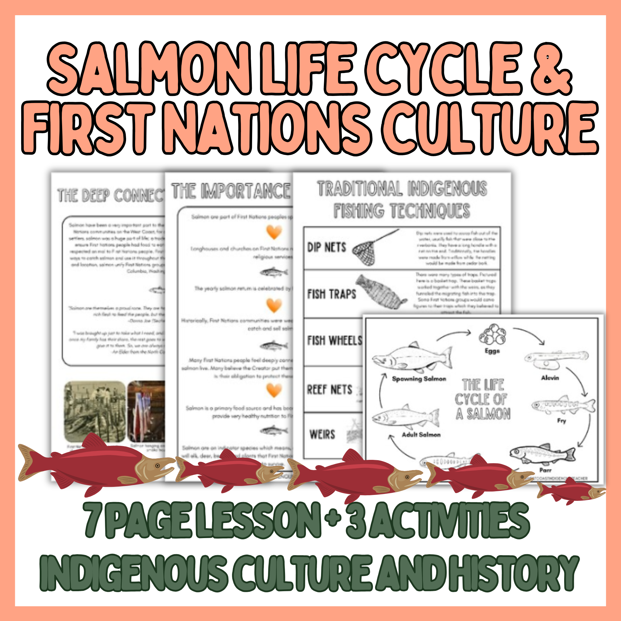 Salmon Life Cycle, First Nations Culture - Indigenous Education - West ...